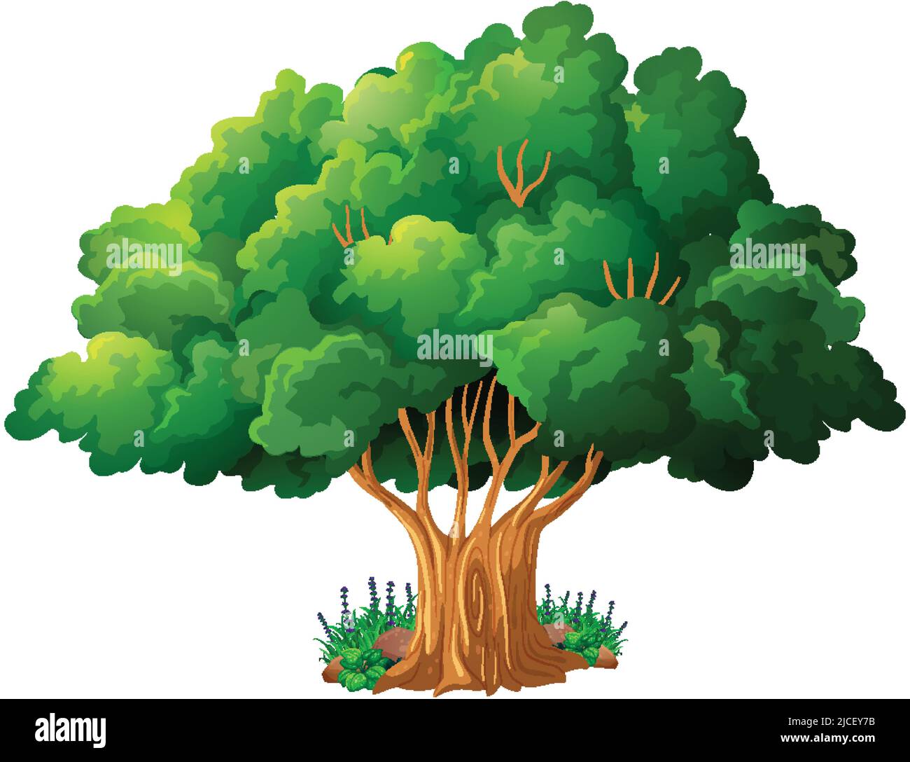 Big tree isolated cartoon illustration Stock Vector Image & Art - Alamy