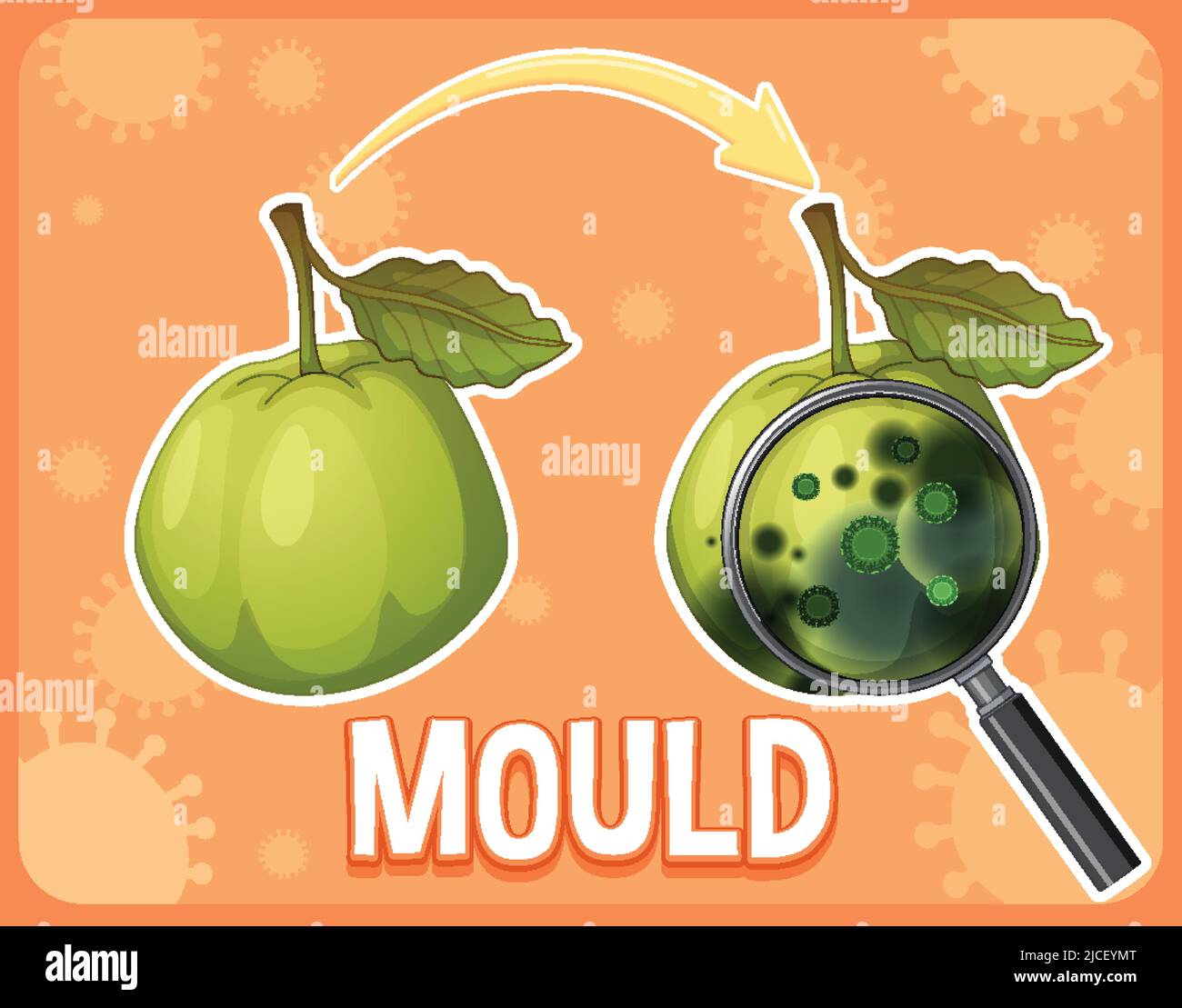 Decomposed drawing hi-res stock photography and images - Alamy