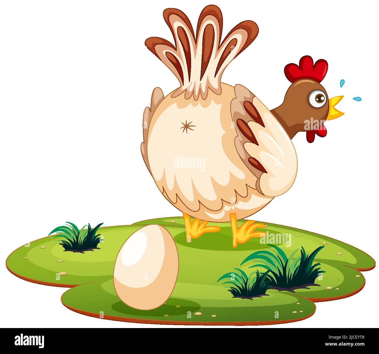 Egg Laying Animals Pictures