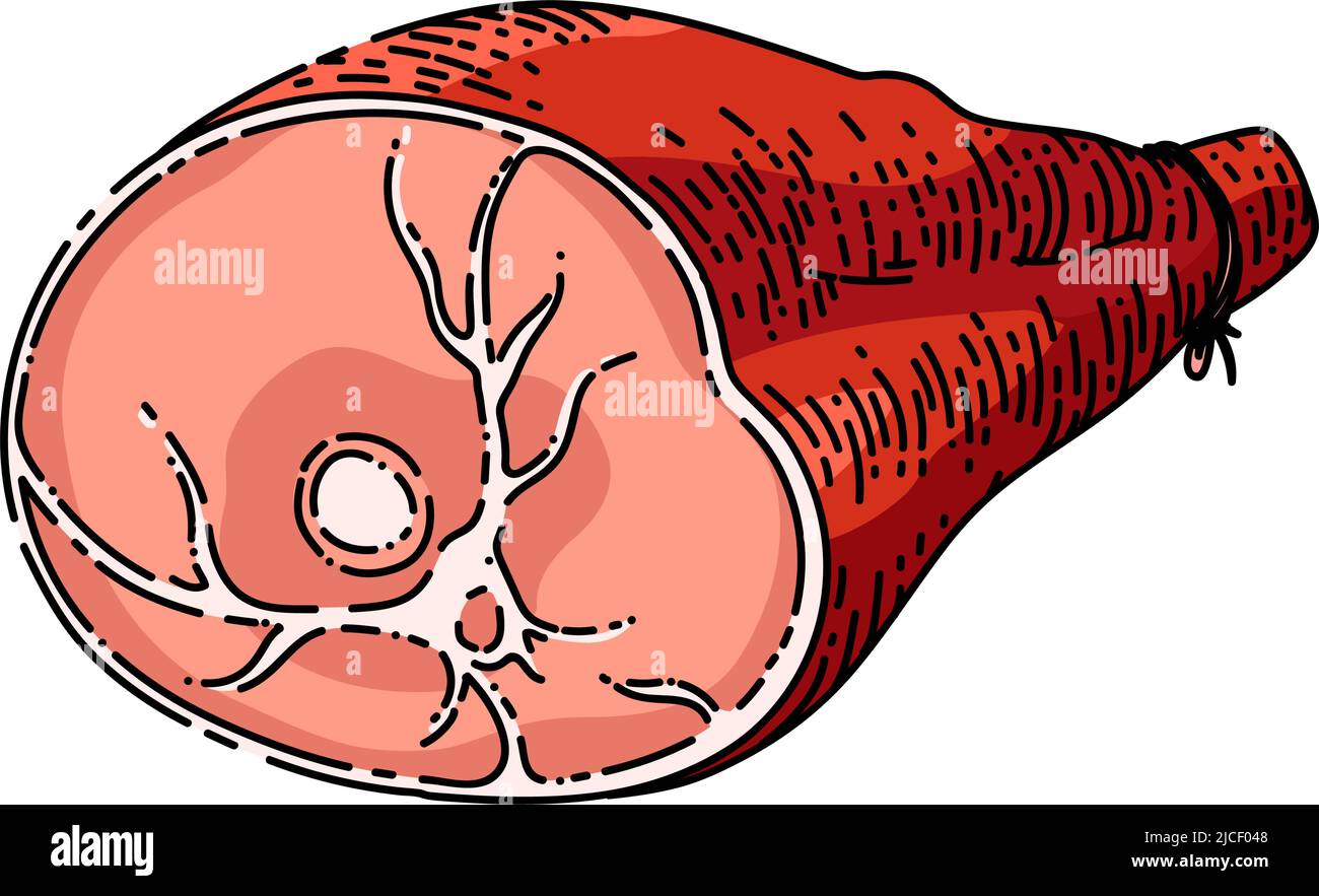 pork meat sketch hand drawn vector Stock Vector Image & Art - Alamy