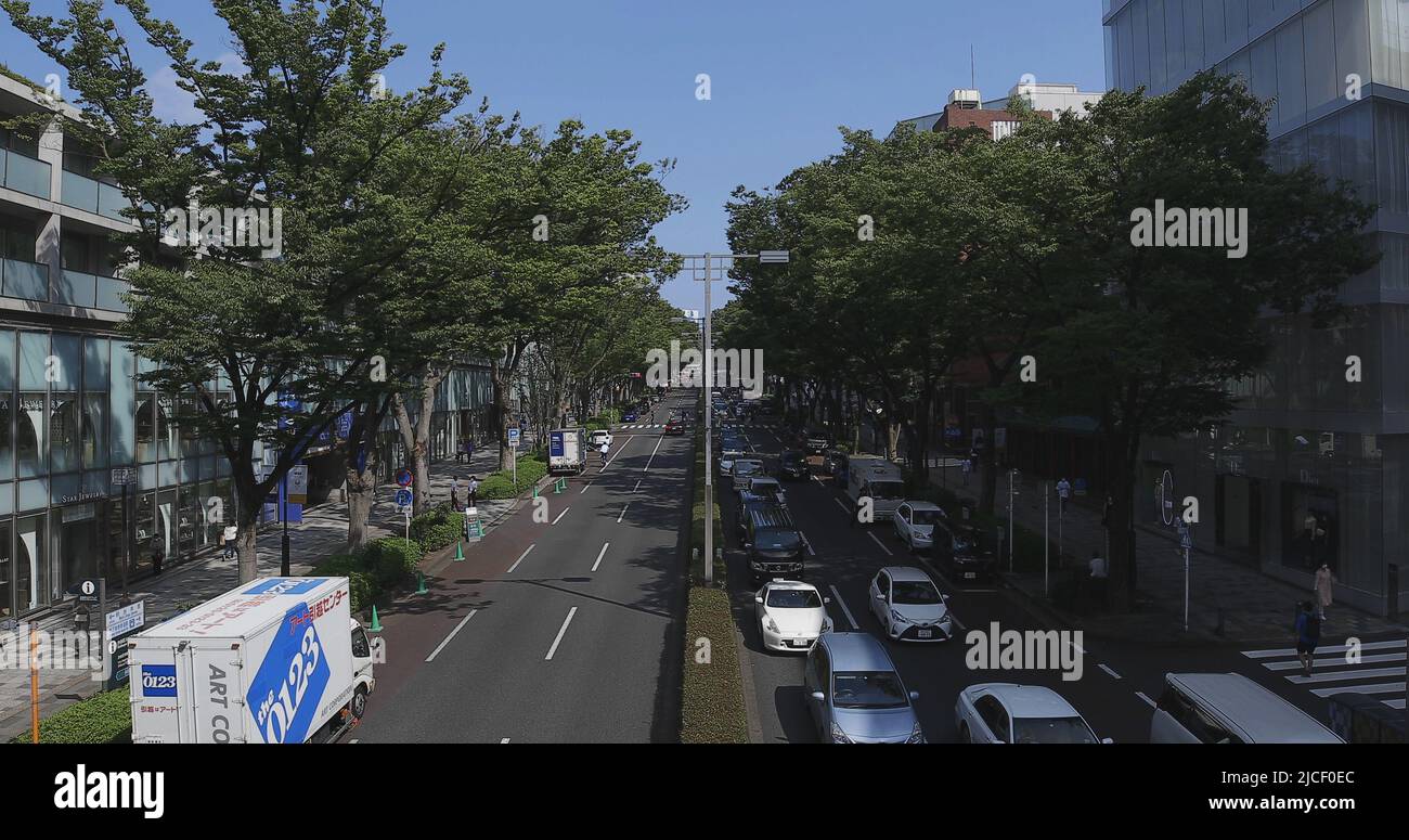 A city street at Omotesando avenue in Tokyo wide shot Stock Photo - Alamy
