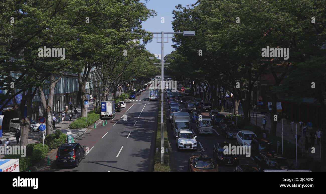 A city street at Omotesando avenue in Tokyo wide shot Stock Photo - Alamy
