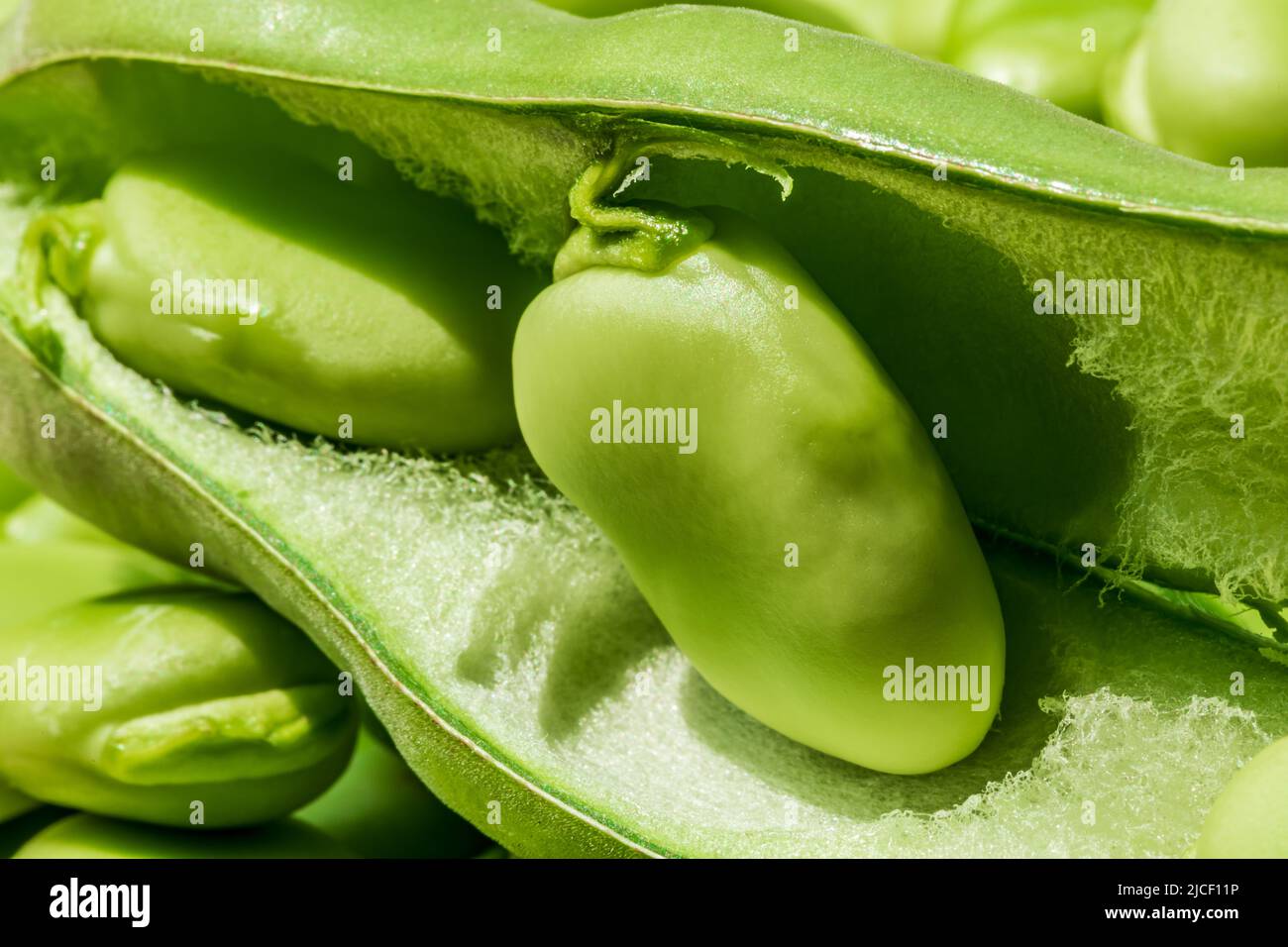 Clean seeds hi-res stock photography and images - Alamy