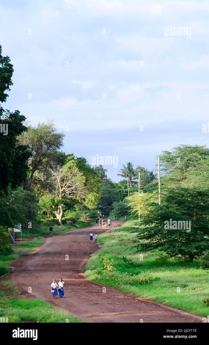 Cute Tanzanian children on their way to primary school in Mto Wa Mbu ...