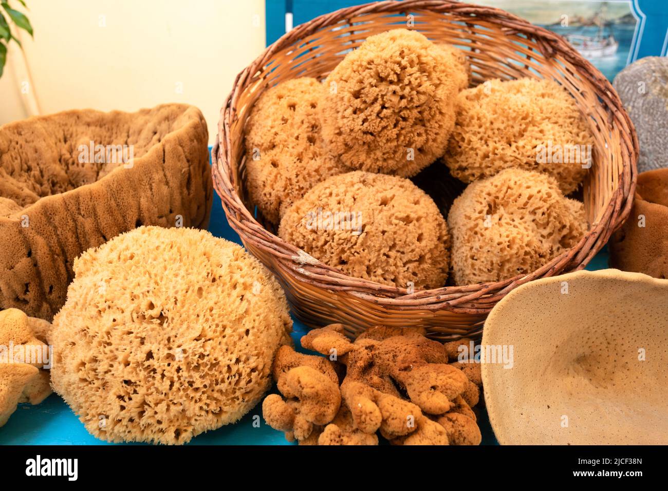 Classic natural sponge hi-res stock photography and images - Alamy