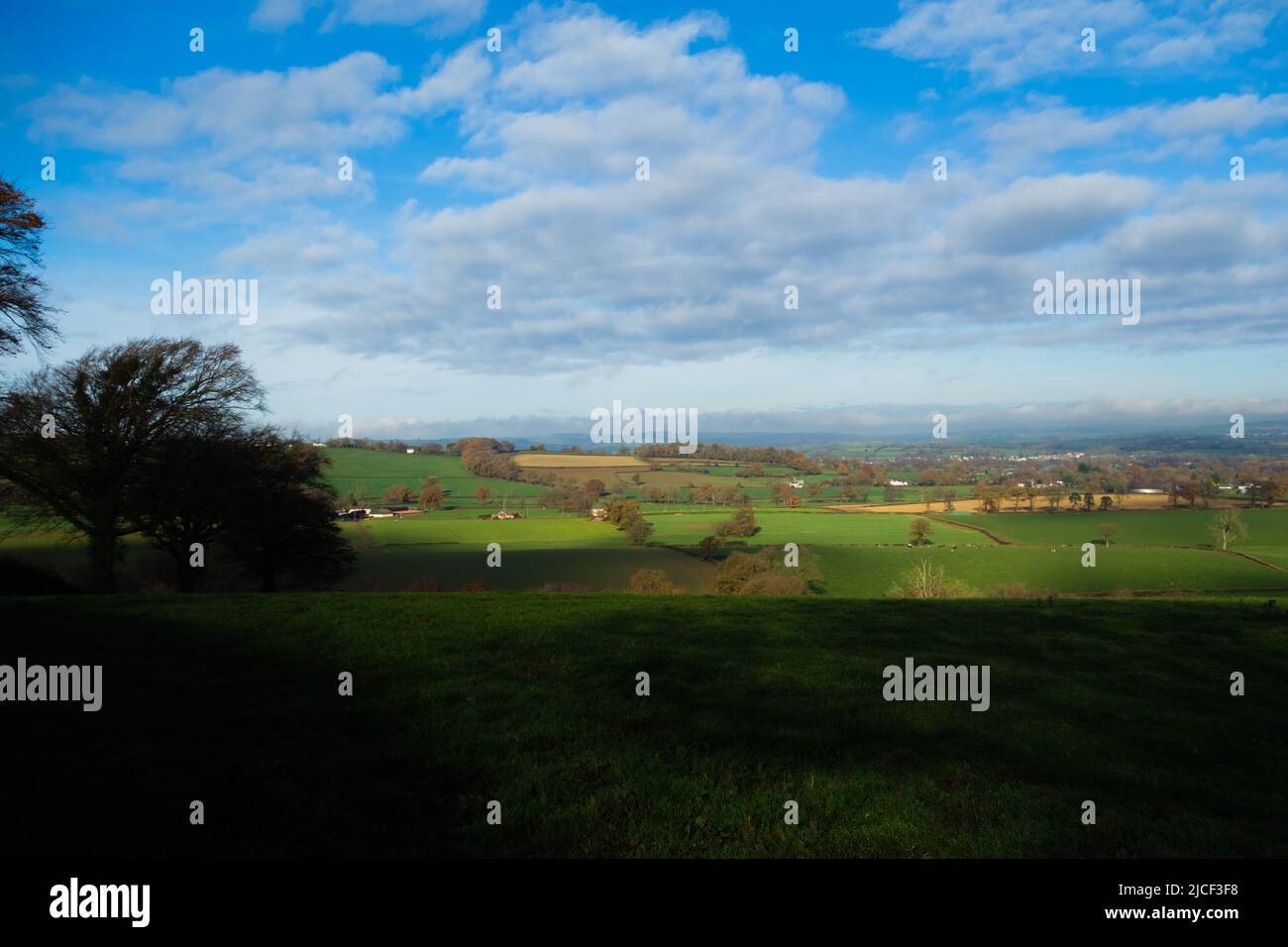bright sunshine on Devon hills, tree and fields with a slightly hazy ...
