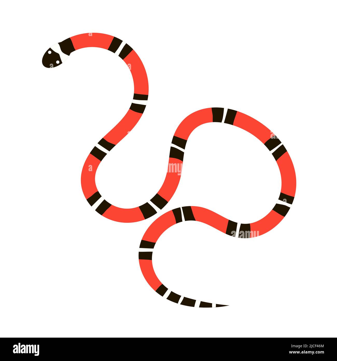 Snake coral python red Cut Out Stock Images & Pictures - Alamy