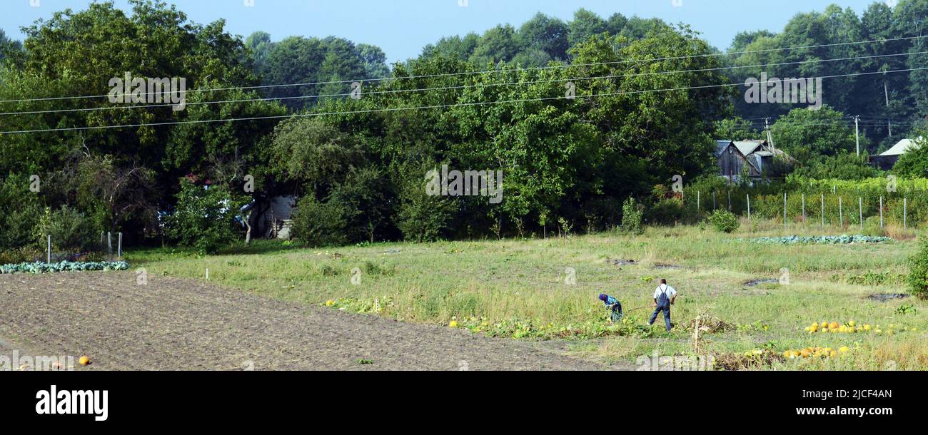 Ukrainian farmers hi-res stock photography and images - Alamy