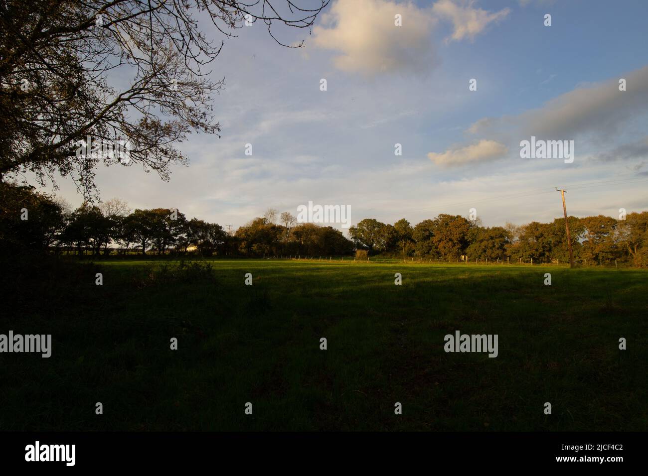 Devon small fields for grazing with hedgerows and trees with a cloudy ...
