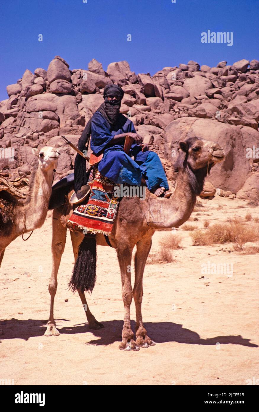 Taureg man riding camel leading camel train, Tassili N'Ajjer National ...
