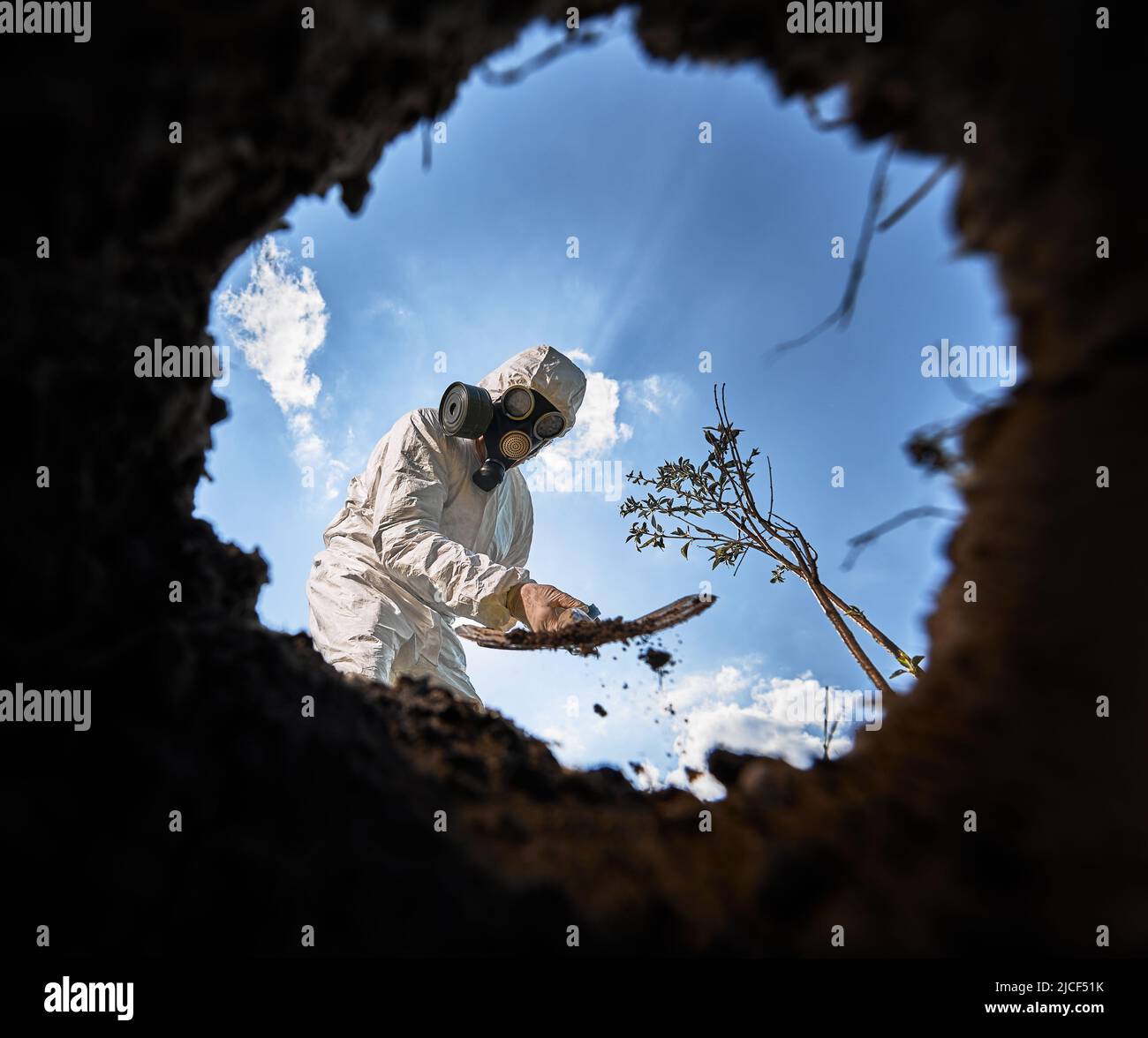 View from inside pit of ecologist digging pit by shovel and planting ...