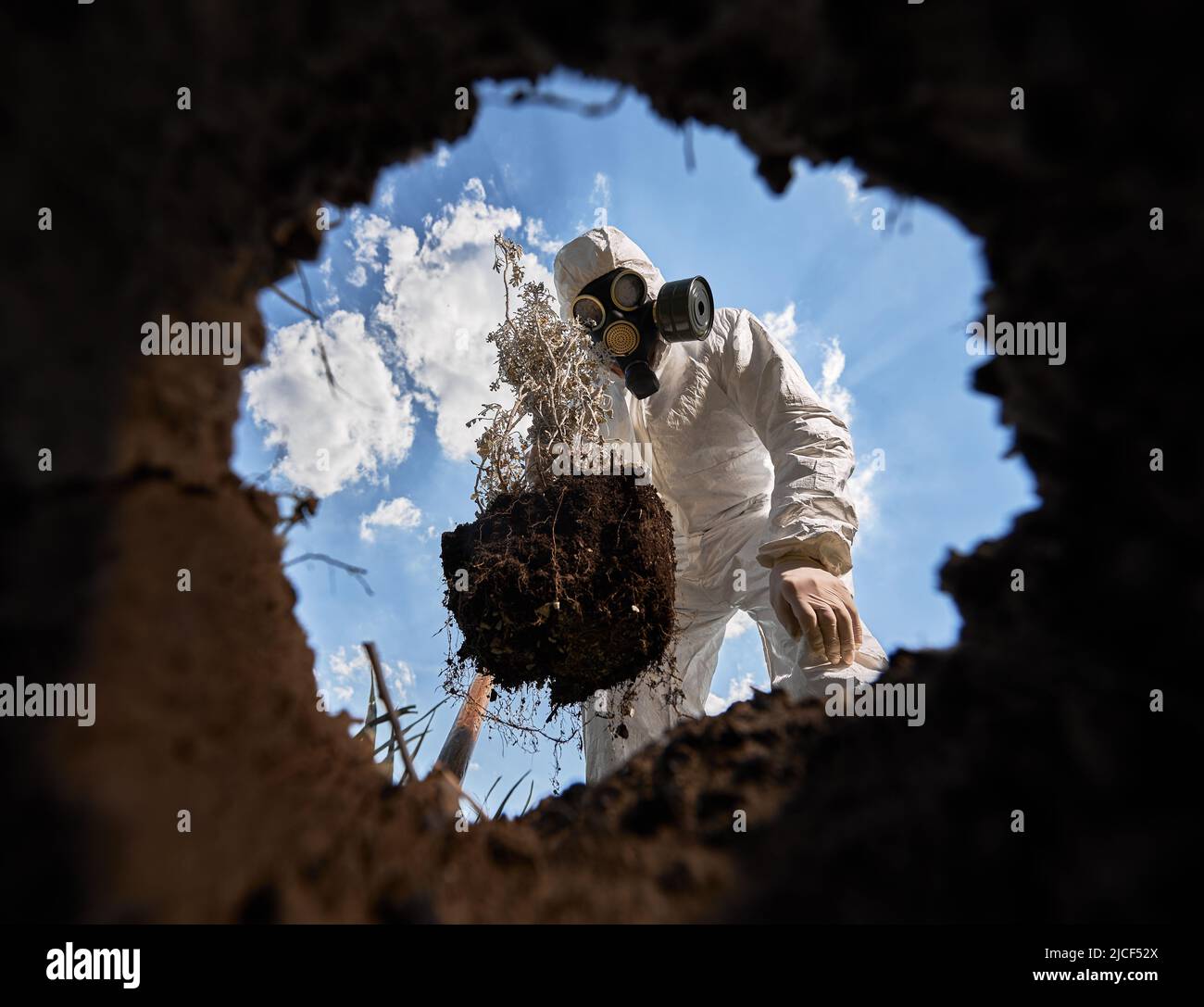 View from inside pit of ecologist digging pit by shovel and planting ...