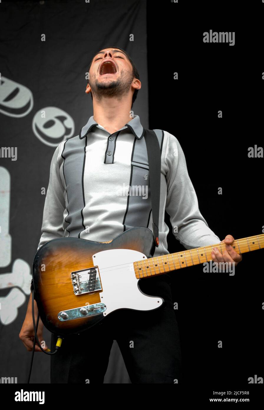 Matt McManamon - The Dead 60s, V2006, Hylands Park, Chelmsford, Essex ...