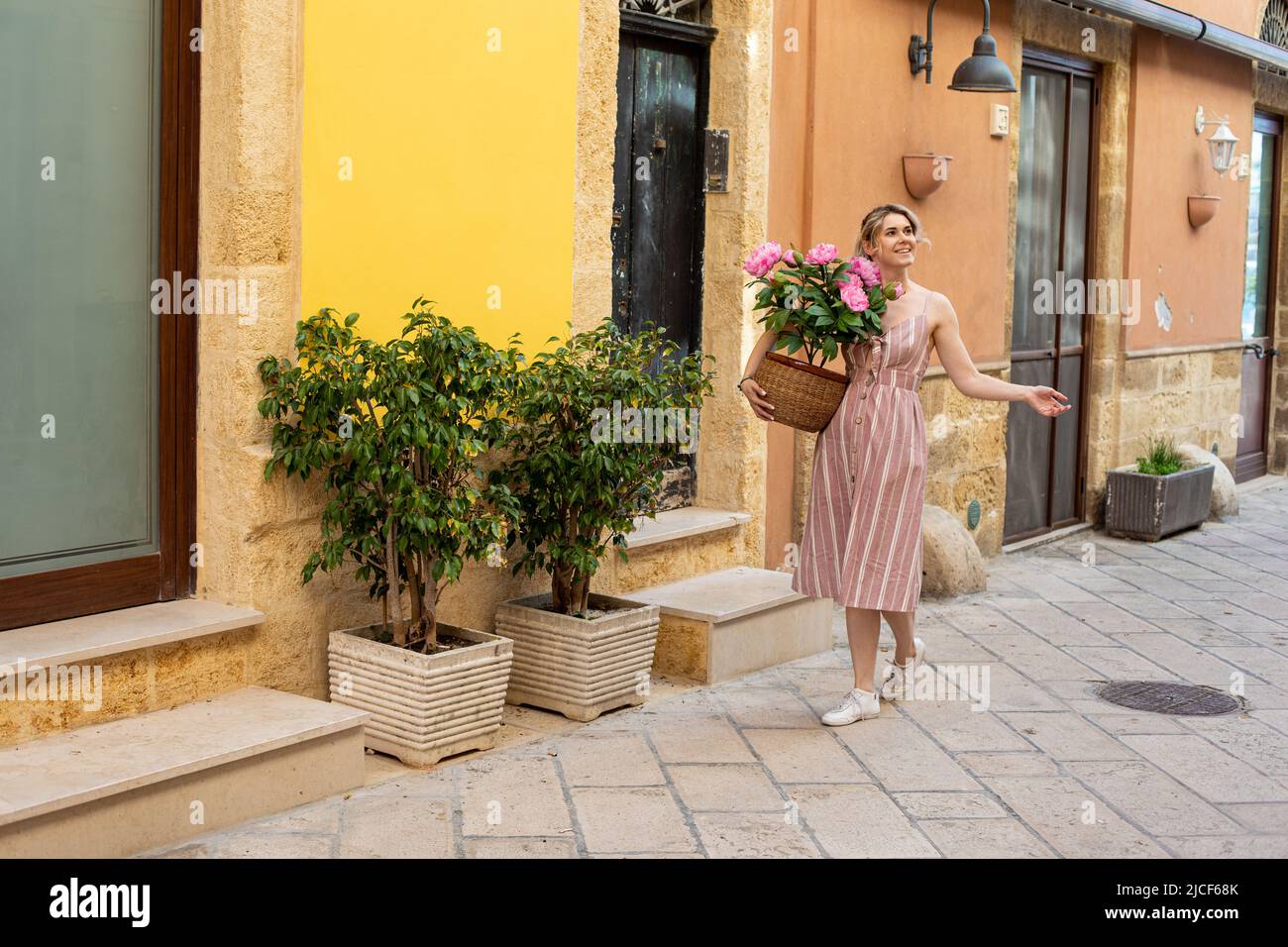 Olive tree pot hi-res stock photography and images - Alamy