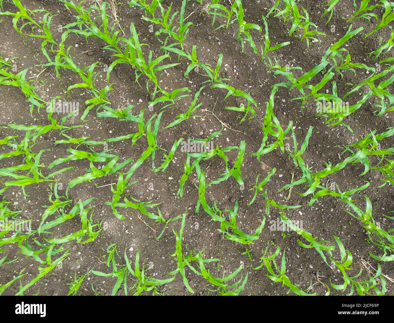 Farm land aerial hi-res stock photography and images - Alamy