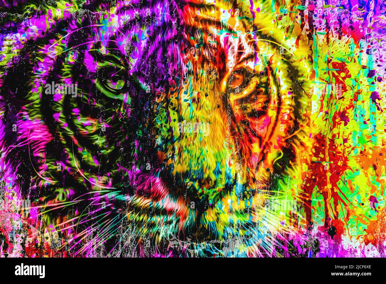 Colorful artistic lion muzzle with bright paint splatters Stock Photo ...