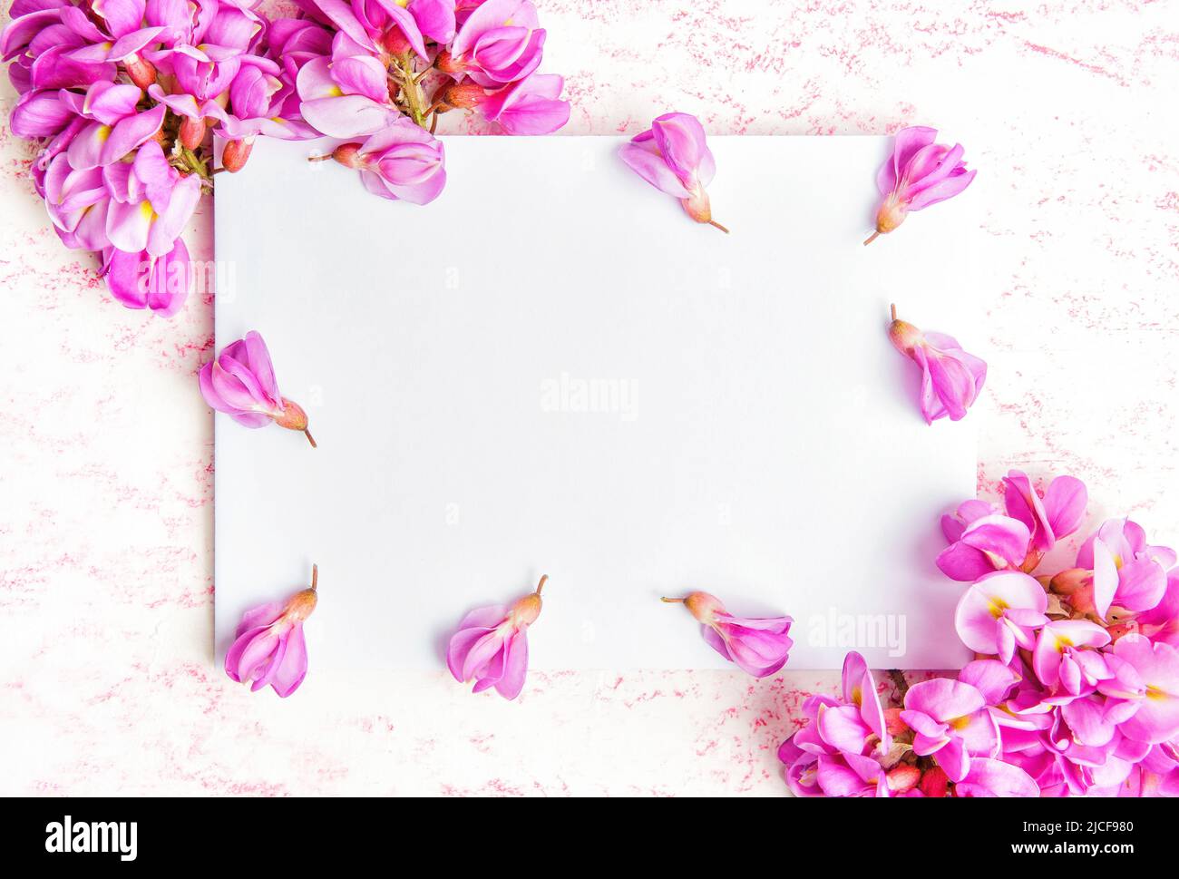 Floral wedding invitation card framed with fresh violet acacia flowers ...