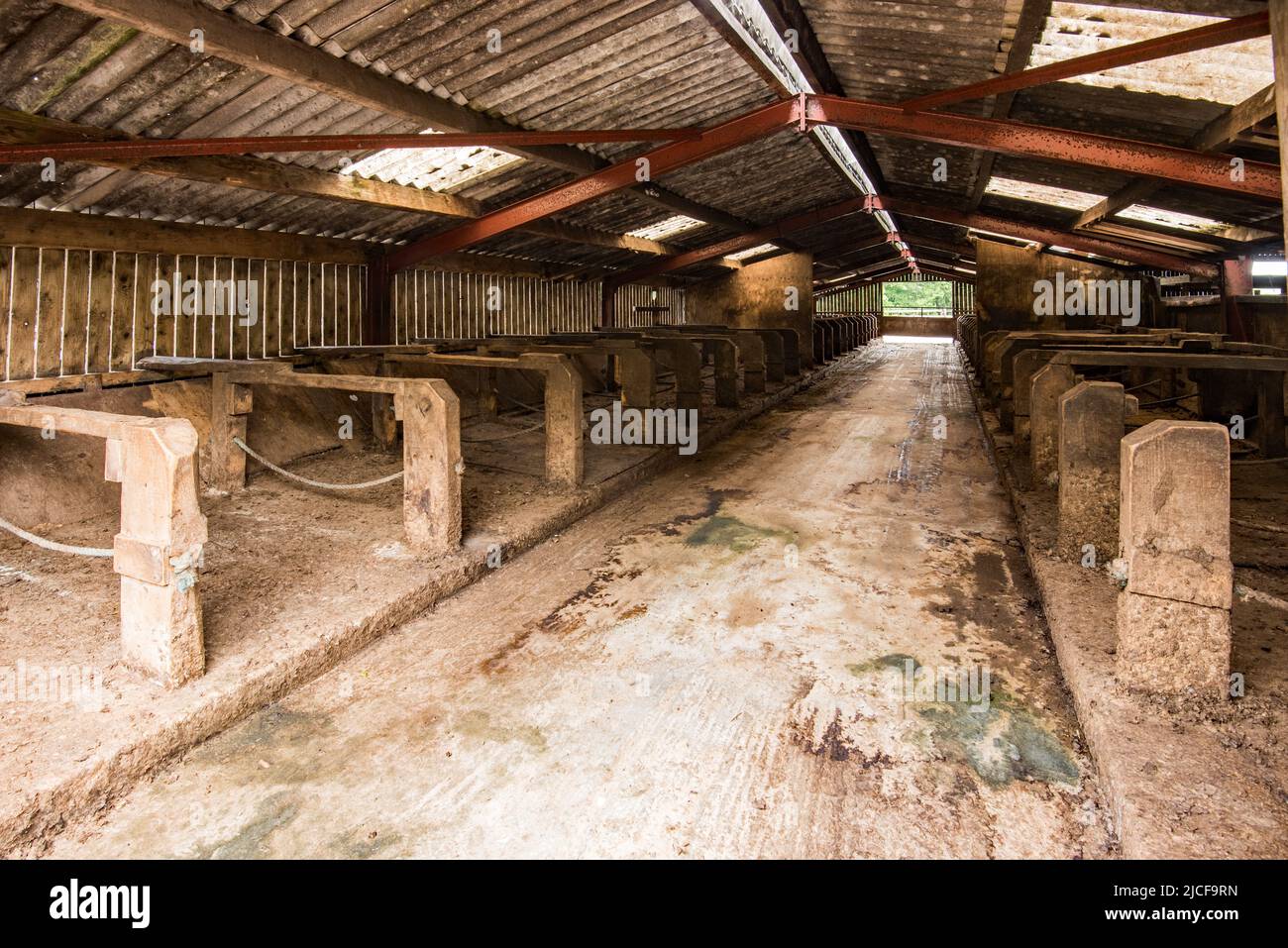 Clean & tidy cowshed at the Open Farm Sunday 10th June 2022 at ...
