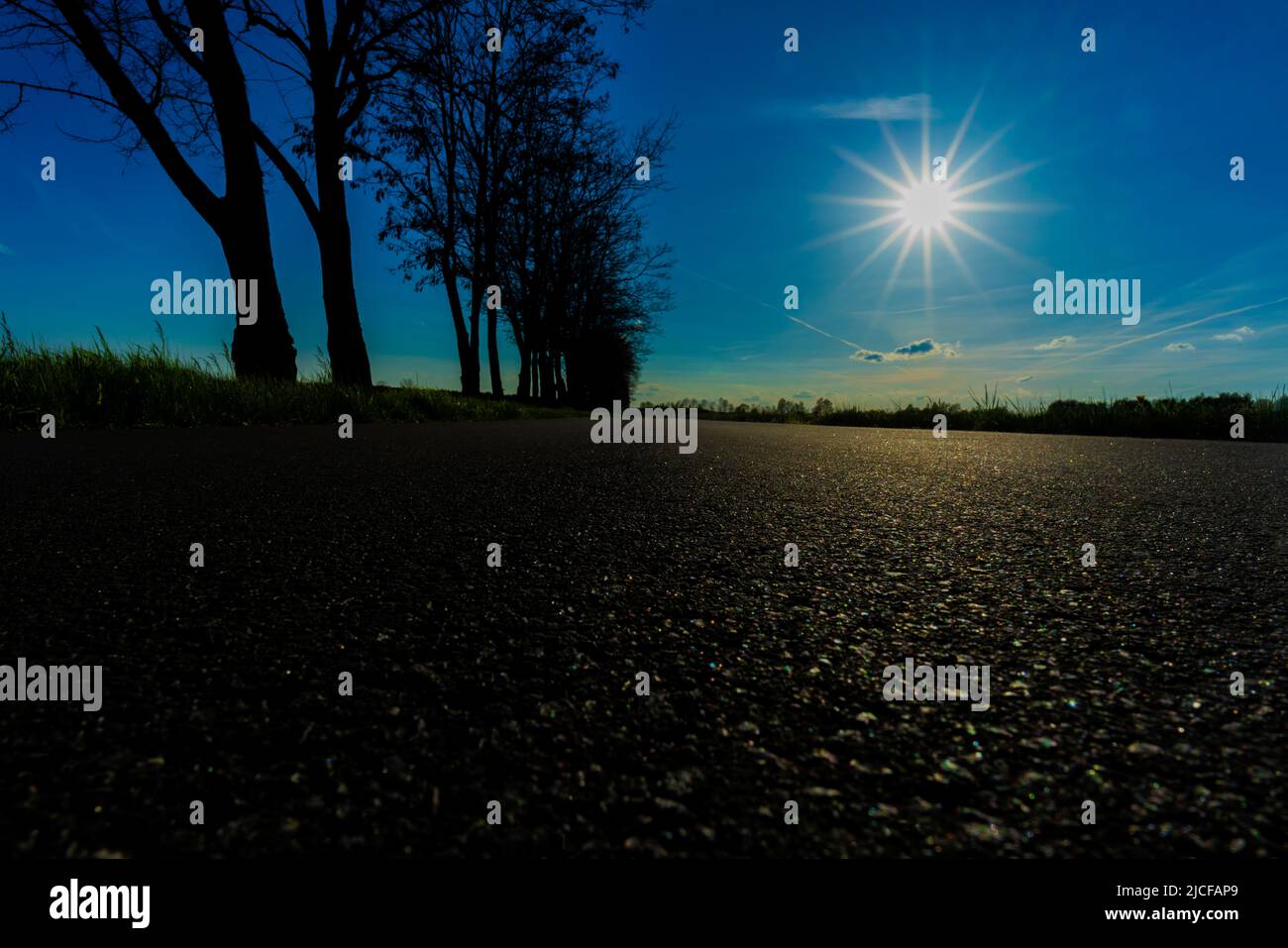 Cycle path in nature in the early evening, sun with sun rays, frog ...