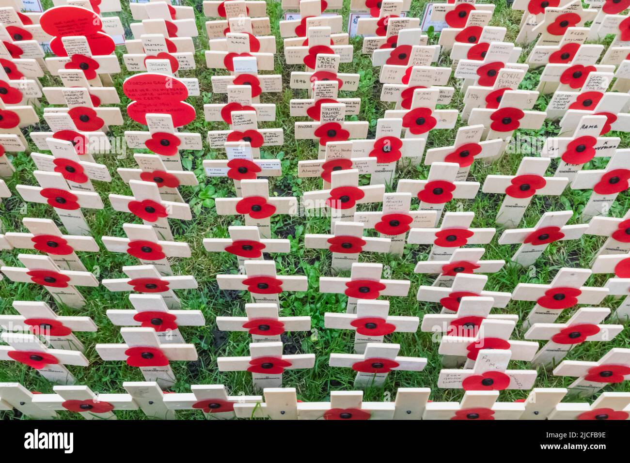 England, London, Westminster Abbey, The Field of Remembrance, Display ...