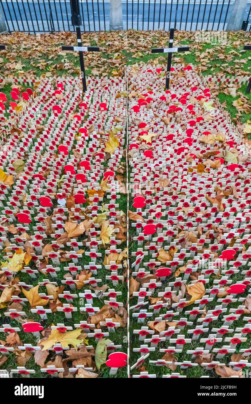 England, London, Westminster Abbey, The Field of Remembrance, Display ...