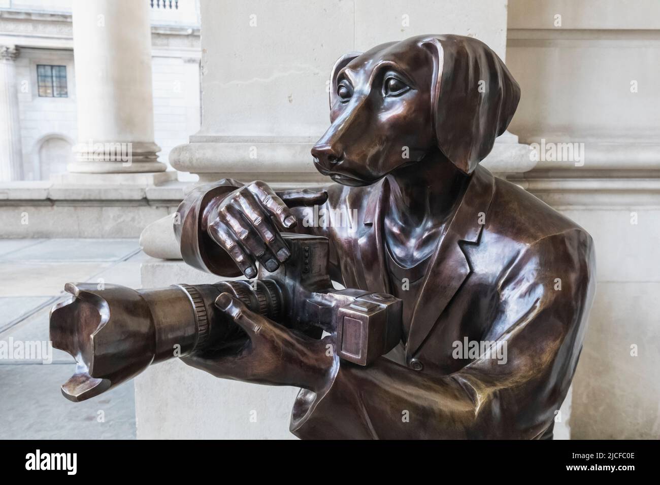 Paparazzi dogs hi-res stock photography and images - Alamy