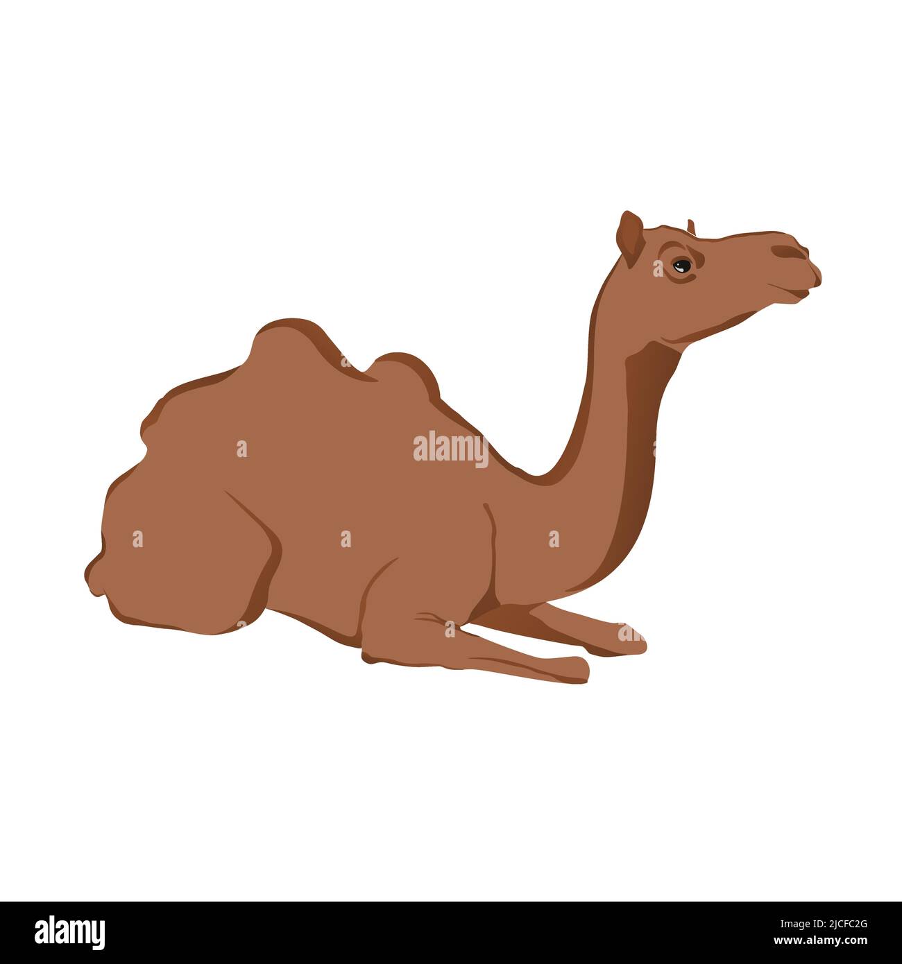 Editable vector illustration of the camel. EPS10 Stock Vector Image ...