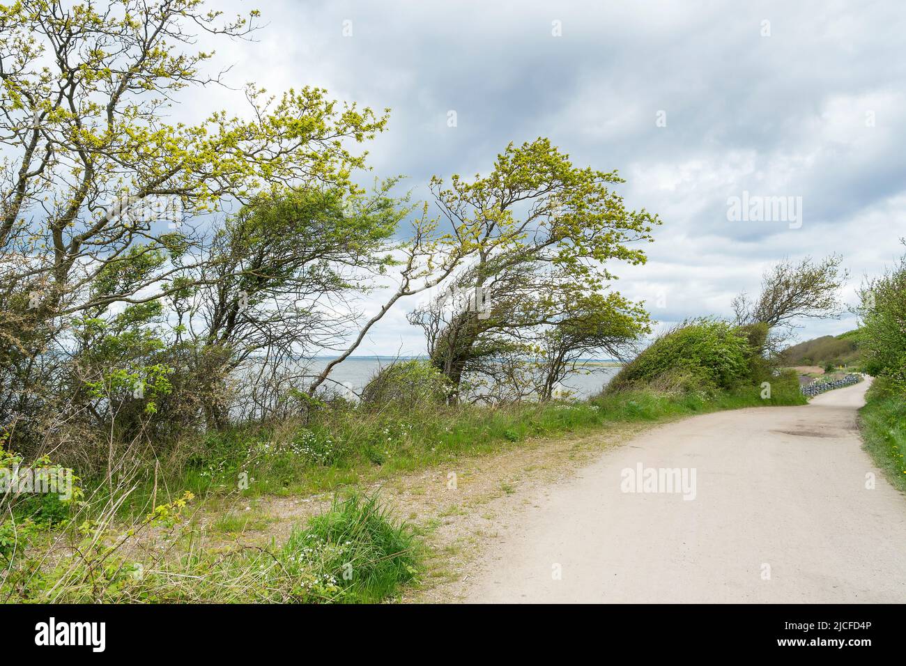 Germany, Schleswig-Holstein, nature reserve "Geltinger Birk", hiking ...