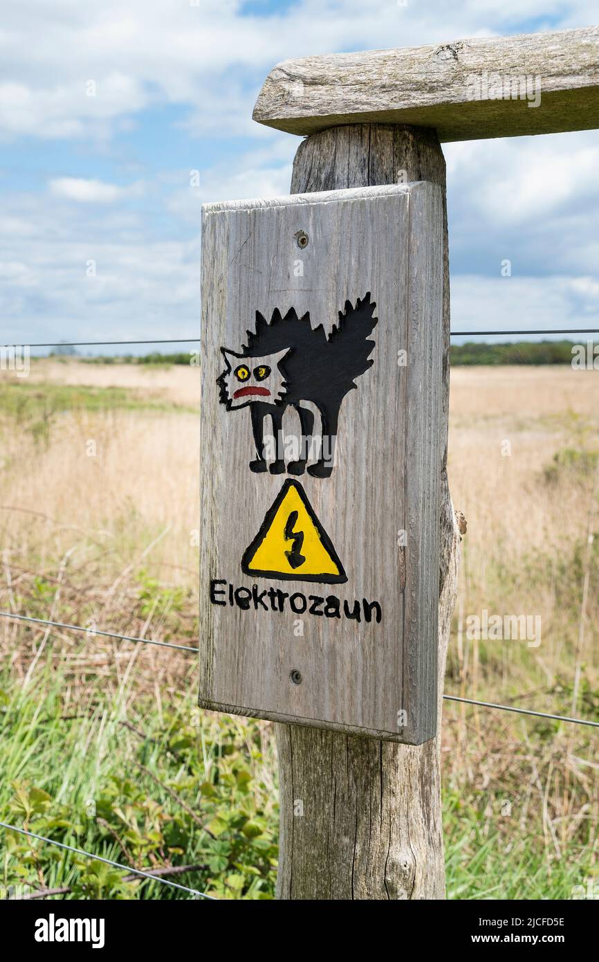 Germany, Schleswig-Holstein, nature reserve "Geltinger Birk", electric ...