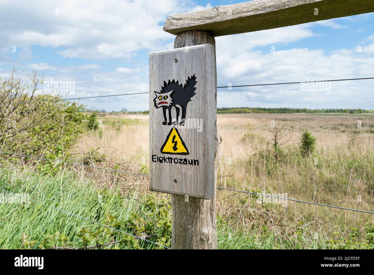 Germany, Schleswig-Holstein, nature reserve "Geltinger Birk", electric ...