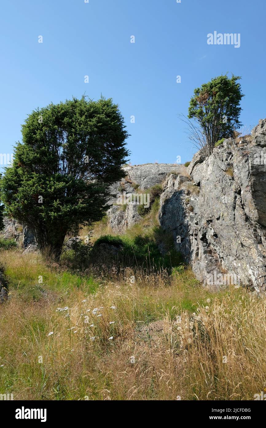 Pilane sculpture hi-res stock photography and images - Alamy