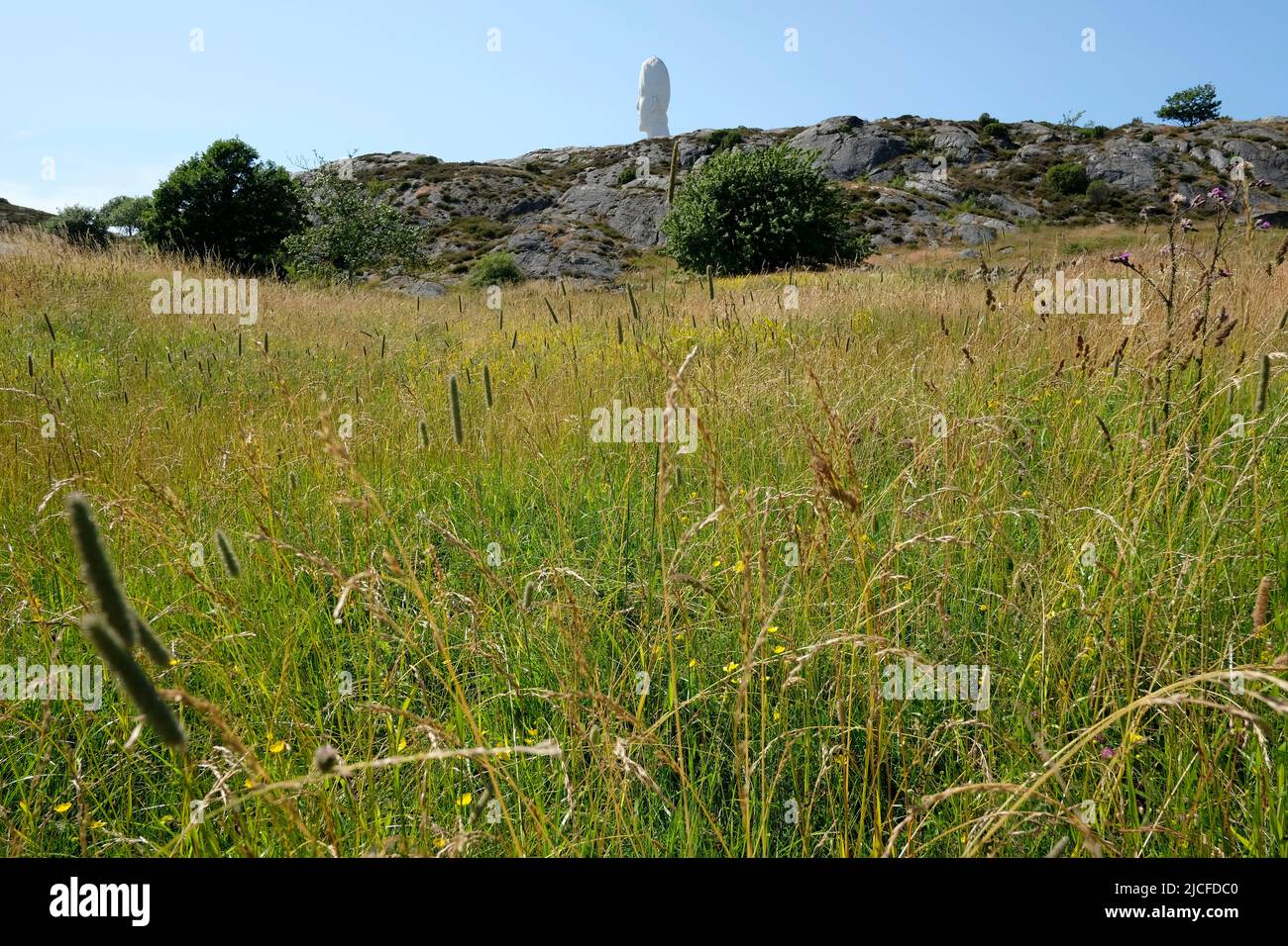 Sweden, Bohuslän, Pilane, Sculpture park, grass, rocks, trees Stock ...