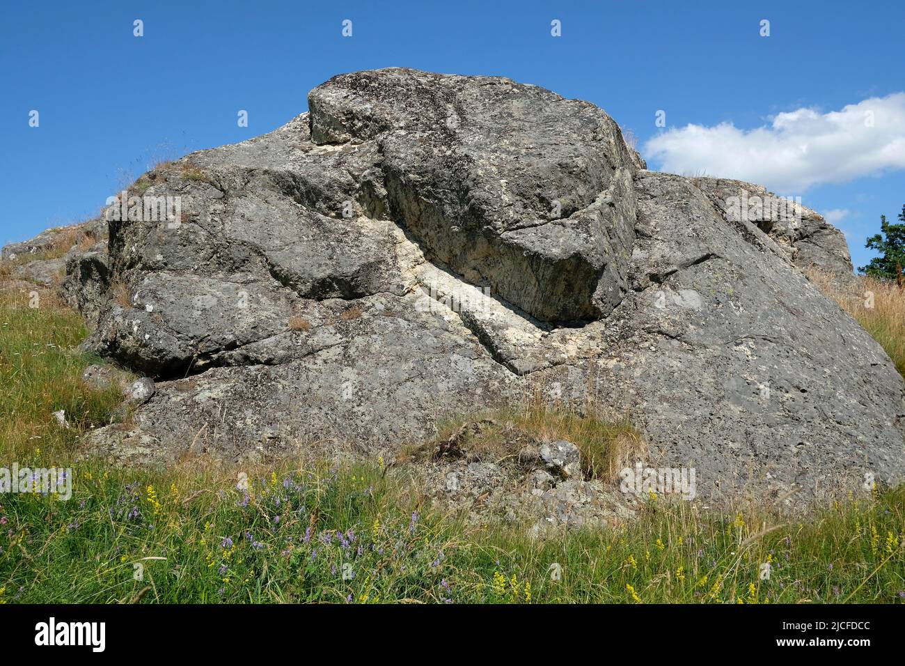 Pilane sweden hi-res stock photography and images - Alamy