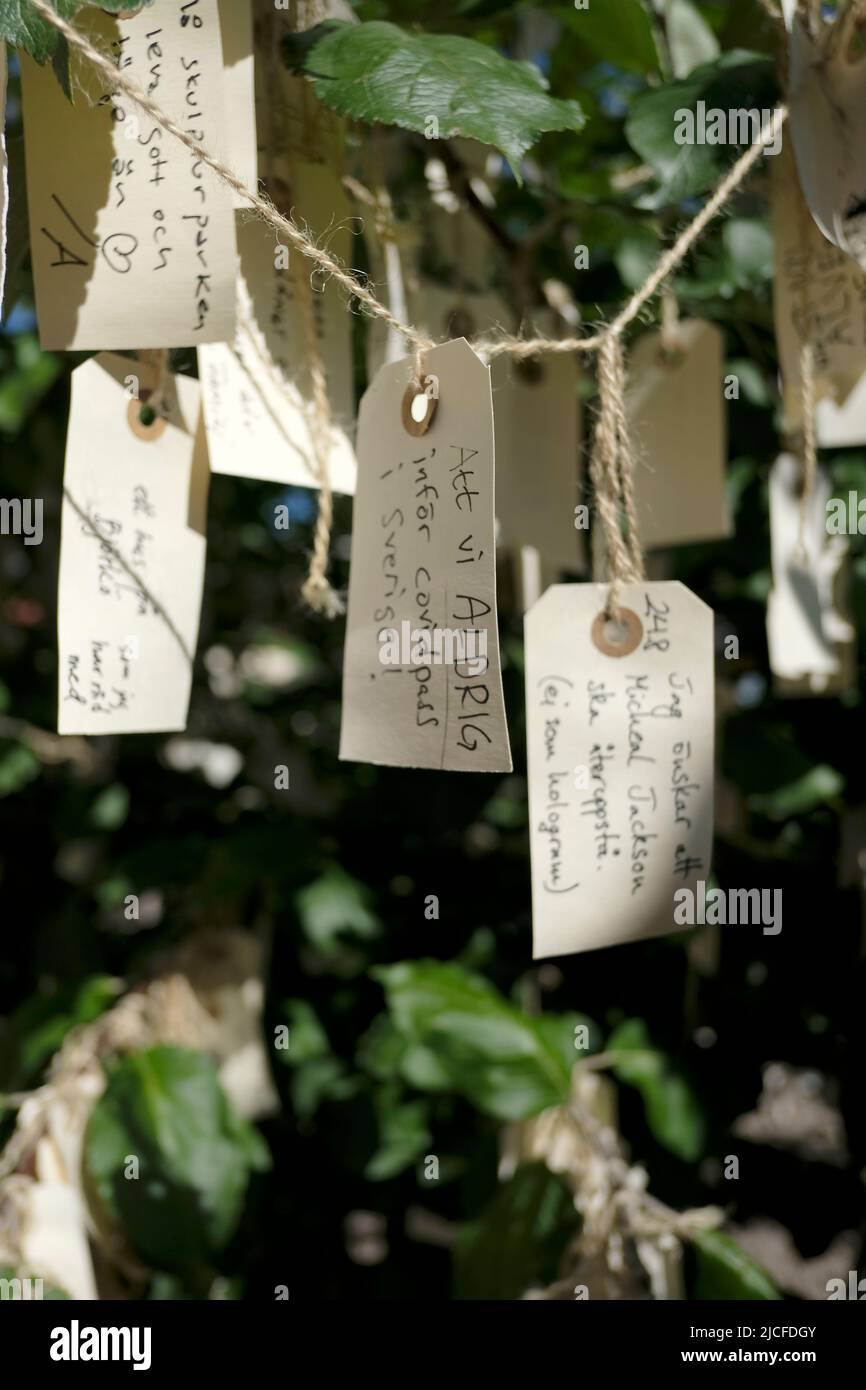 Wish tree hi-res stock photography and images - Alamy