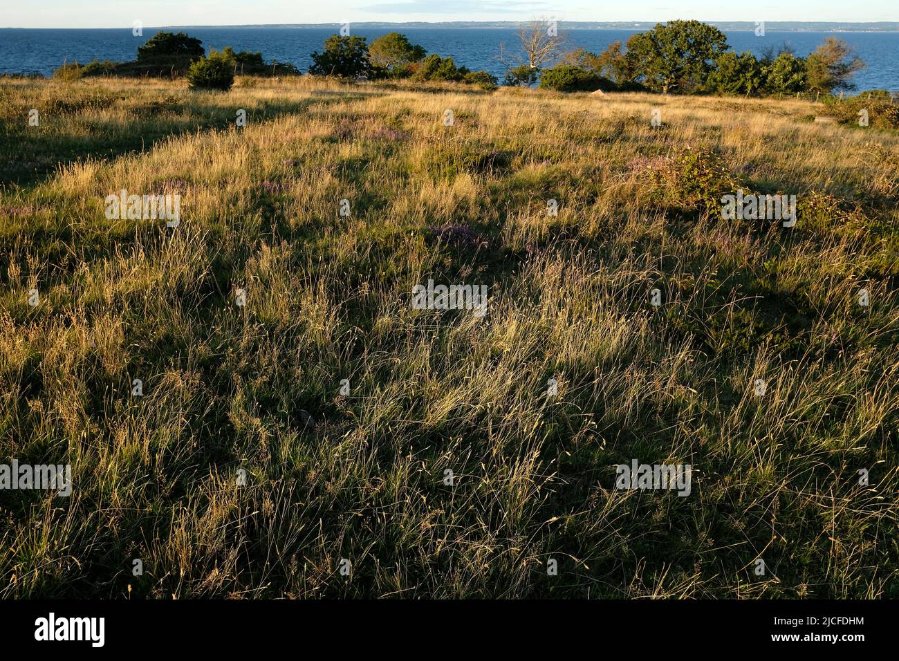 Sweden, Skane, Scania, Alabodarna, landscape Stock Photo - Alamy