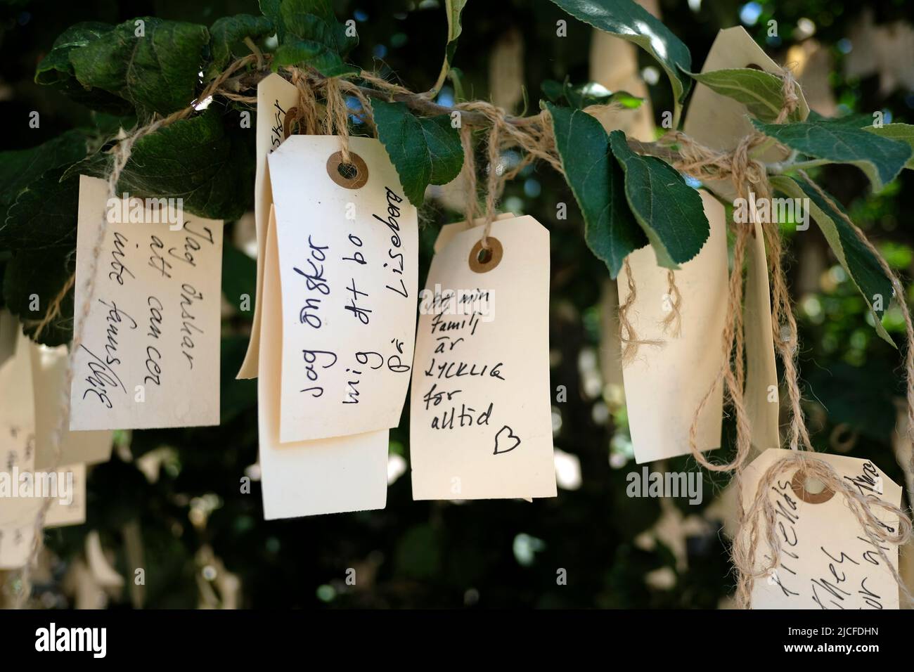 Sweden, Skane, Scania, Wanas, wish tree, notes Stock Photo - Alamy