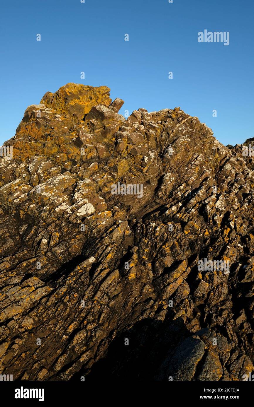 Scania nature hi-res stock photography and images - Alamy