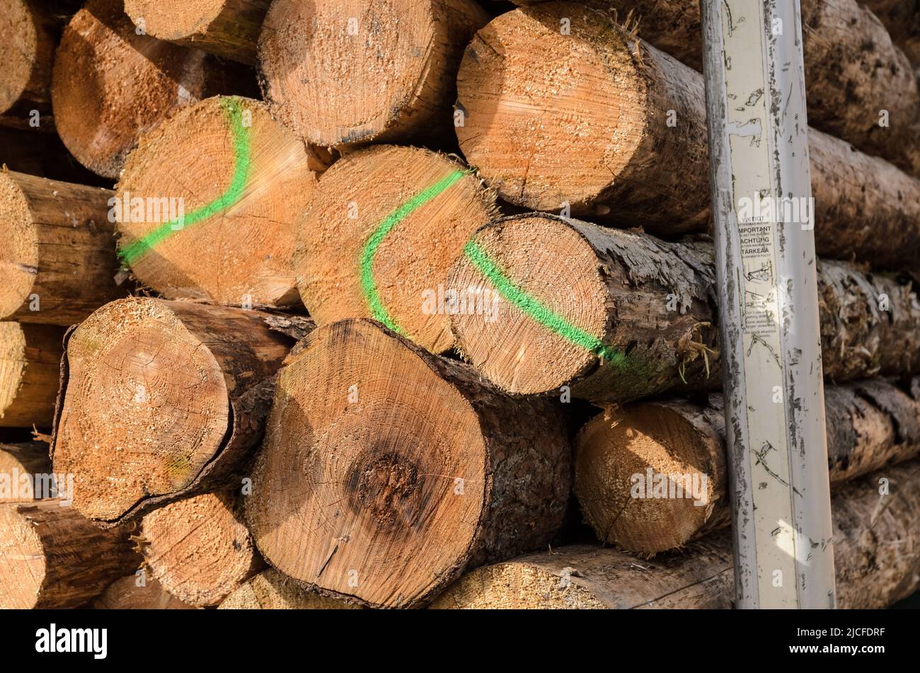 Logs on a trailer ready for transportation at a logging site in Germany ...