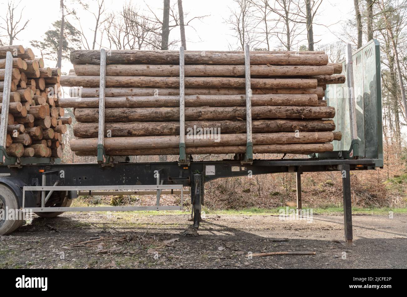 Logging industry hi-res stock photography and images - Alamy