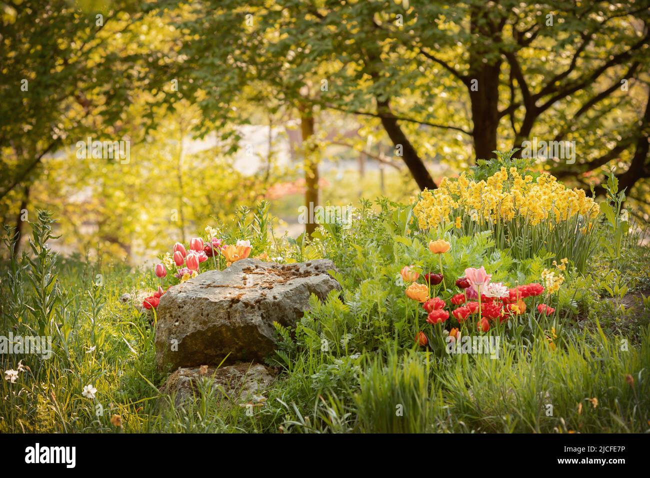 Colorful flowers and boulder in a park hi-res stock photography and ...