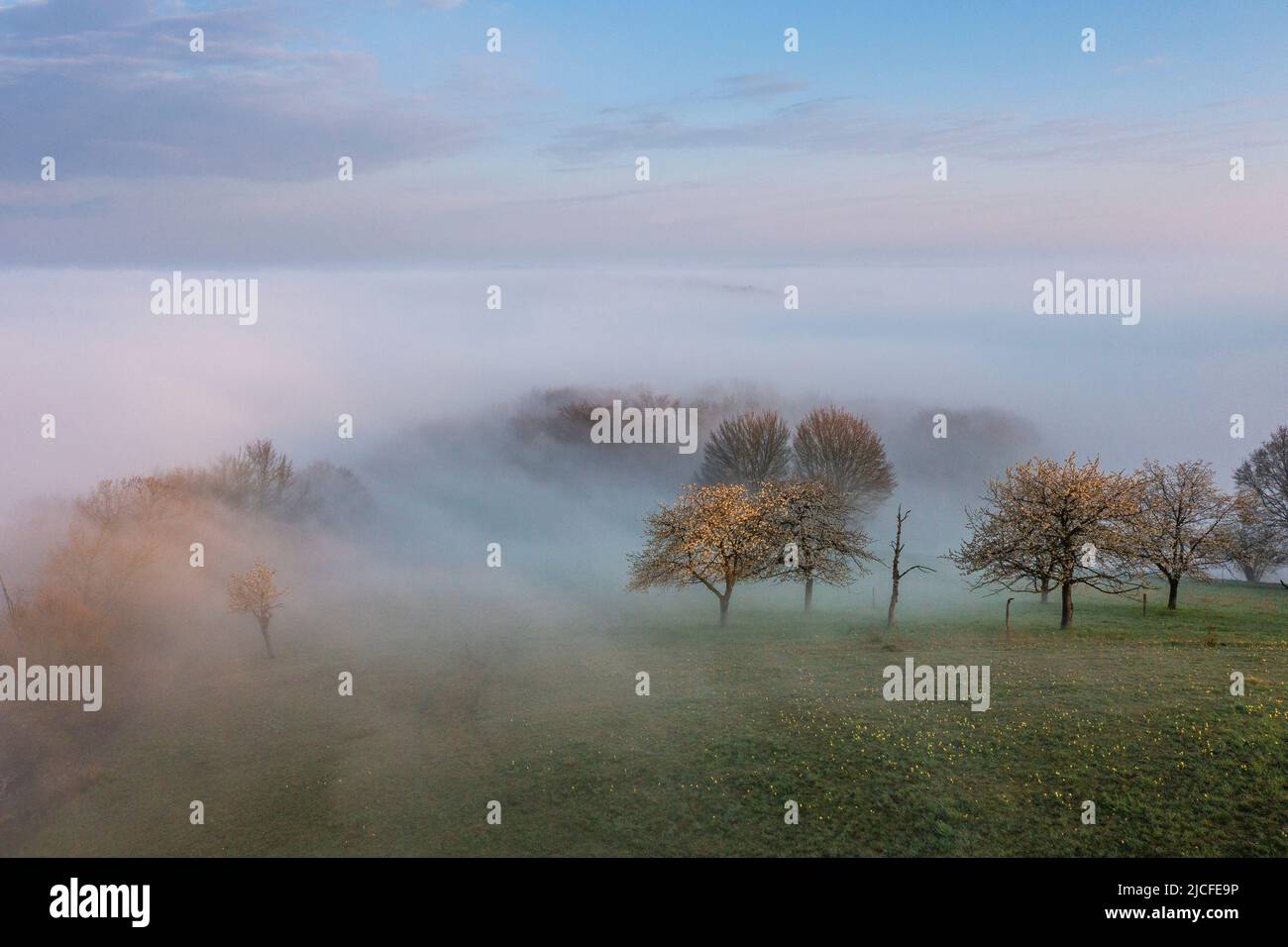 Sunrise behind the Leuchtenburg in Thuringia Stock Photo - Alamy