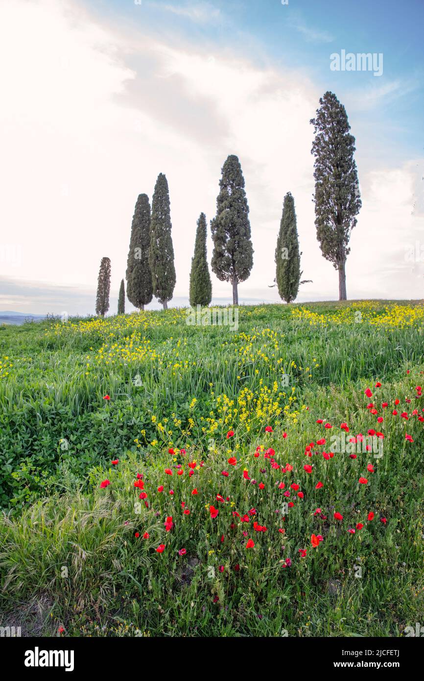 Typical landscape in springtime hi-res stock photography and images - Alamy