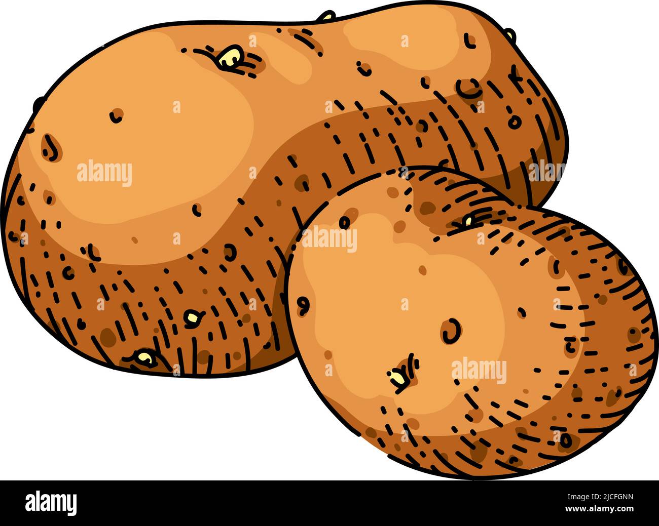 potato vegetable sketch hand drawn vector Stock Vector Image & Art - Alamy