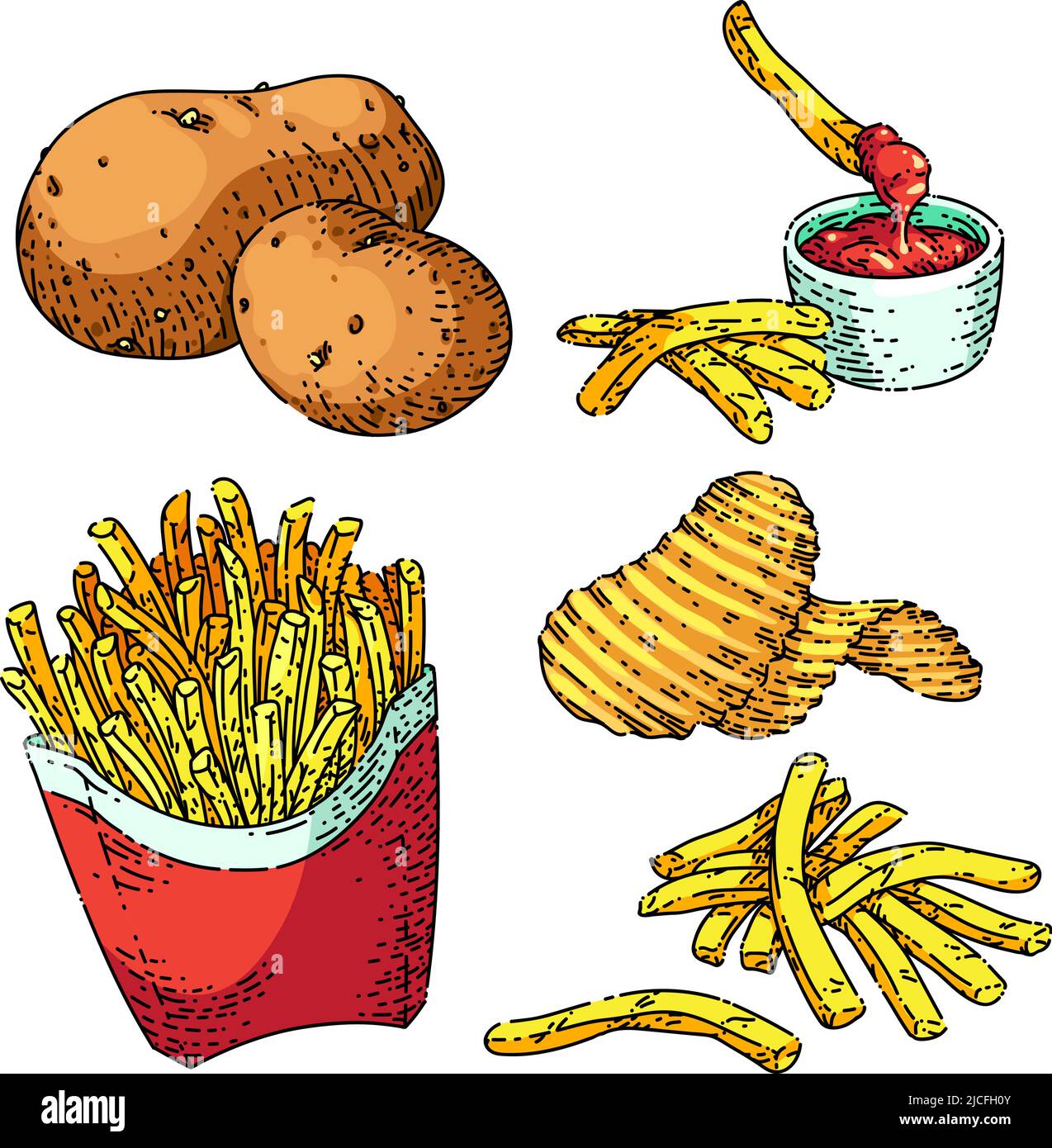 potato food set sketch hand drawn vector Stock Vector Image & Art - Alamy