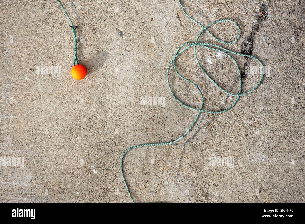 Norway, Troms og Finnmark, Kirkenes, ship jam lies on concrete floor in ...