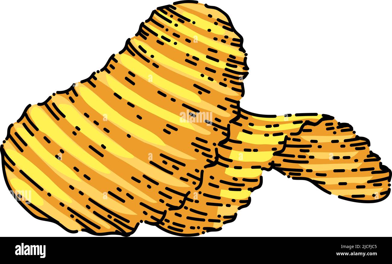 potato chips sketch hand drawn vector Stock Vector Image & Art - Alamy