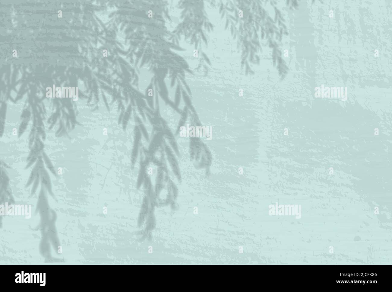 Natural light casts shadows from a leaves branches of tree. Top view of ...