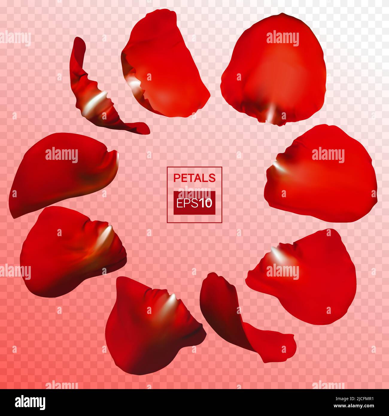 Realistic rose petals. Vector illustration with mesh gradients Stock ...