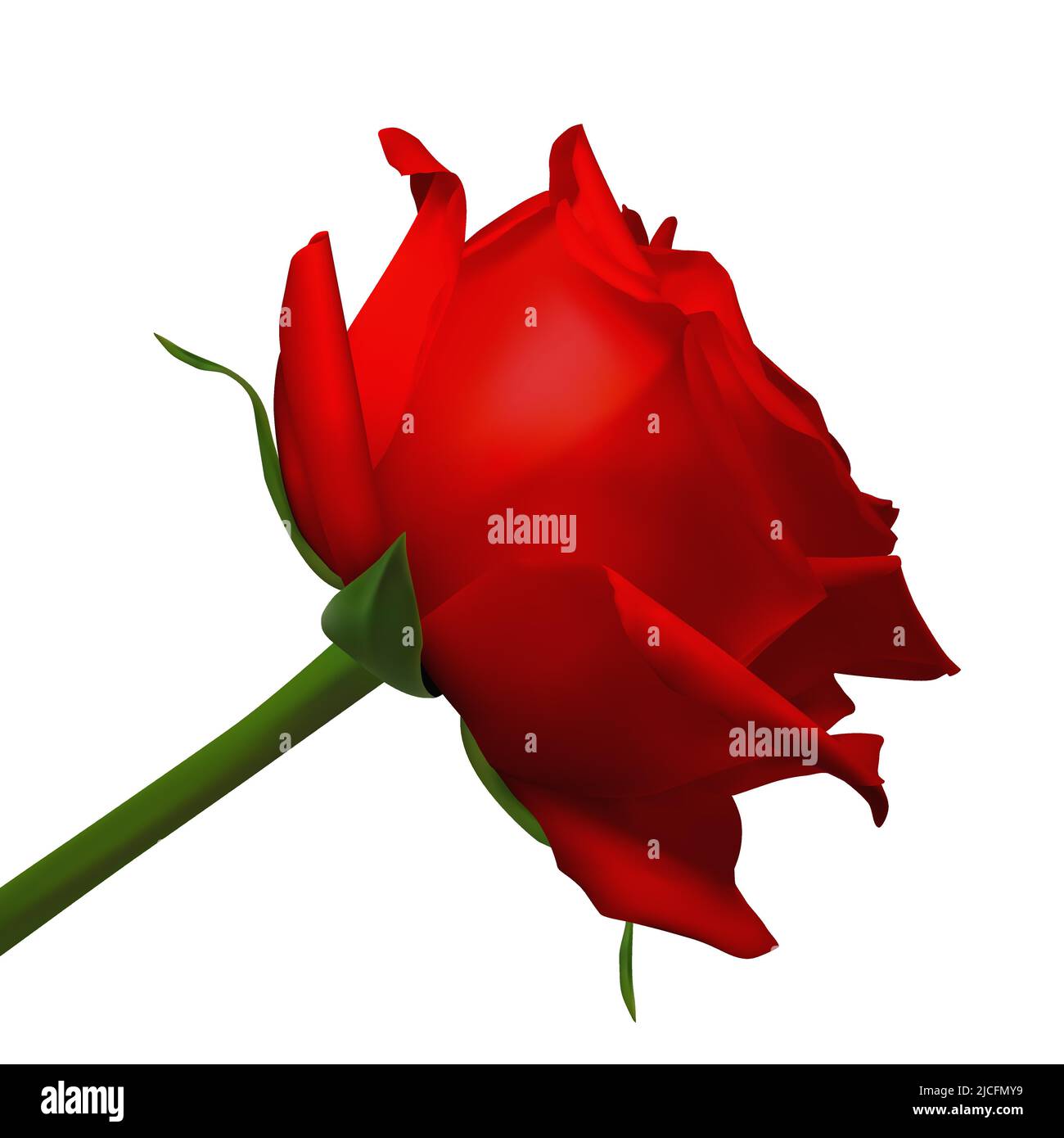 Realistic vector yellow rose on white background Stock Vector Image ...