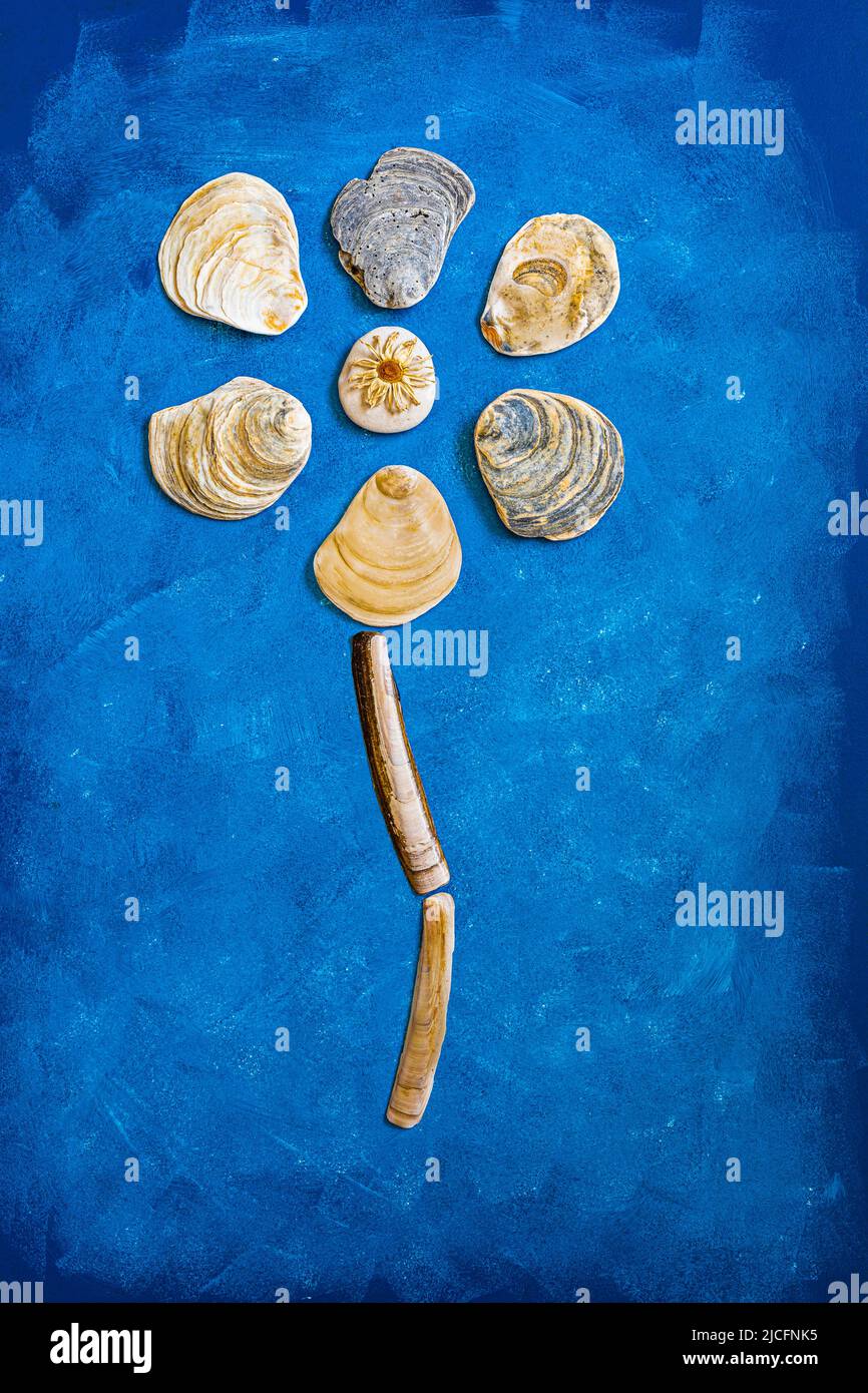 Arrangement flower hi-res stock photography and images - Alamy